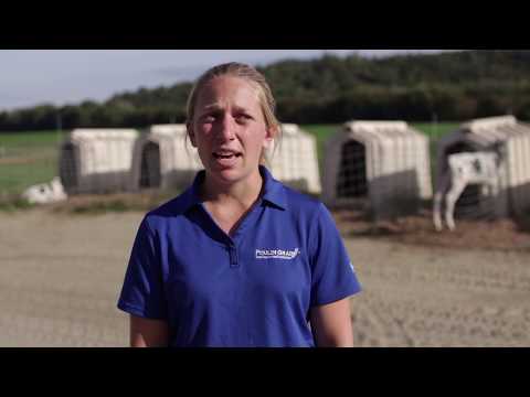 Developing a Dairy Nutrition Plan