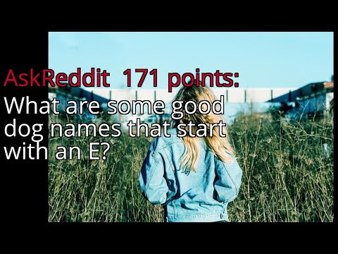 What are some good dog names that start with an E? - r/AskReddit