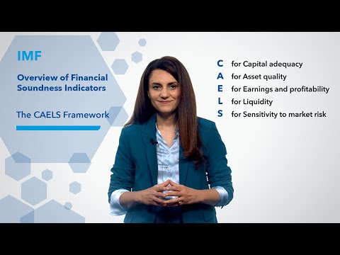 Overview of the CAELS Framework