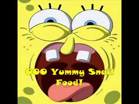 Top 30 Funniest Spongebob Faces