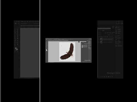 Convert PNG into JPG in Photoshop | Change background color in Photoshop
