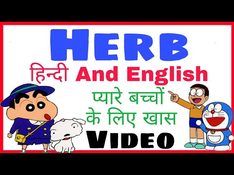 herb ka arth | herb ka meaning | herb ka hindi | herb ka english