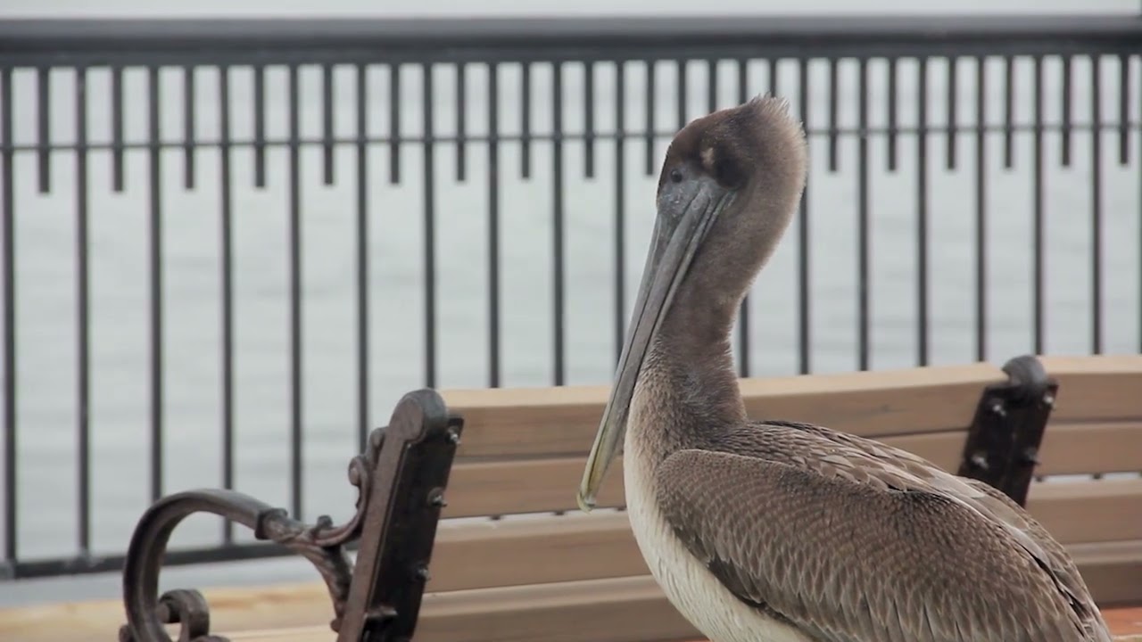 Module 2 Exercise Vimeo 1