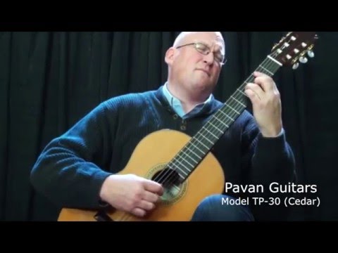 Pavan TP-30 2003, Solid Cedar and Solid Indian Rosewood | Reverb