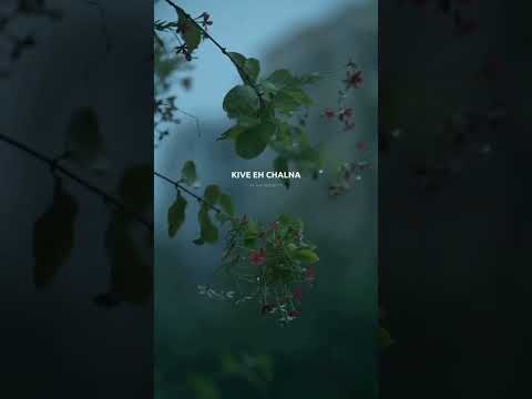 Tera Mera Safar 🥀|Lyrics Status ✨|Whatsapp Status 😍|#shorts