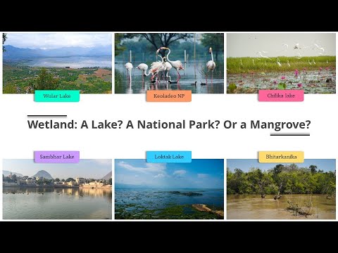 Wetlands & Their Significance