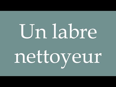 How to Pronounce ''Un labre nettoyeur'' (A cleaner wrasse) Correctly in French