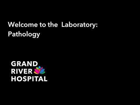 Inside the Grand River Hospital Laboratory: Pathology Lab