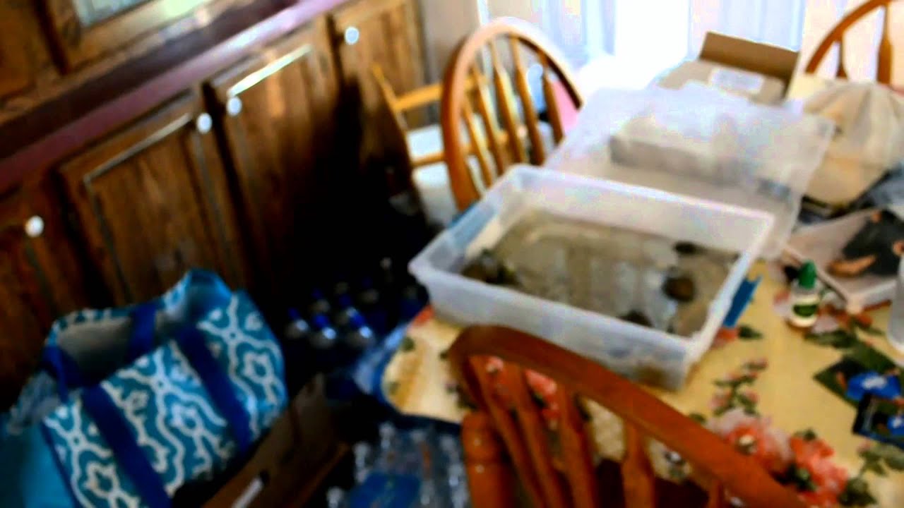 JCSO video of Curtis 