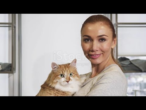 Cat dancing meme // Happy Birthday cat // funny cat animals