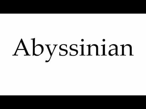 How to Pronounce Abyssinian
