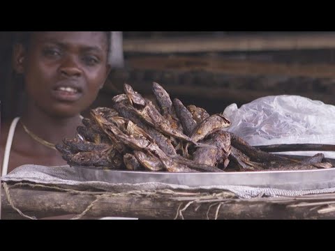 Famine looms on doorstep of DRC capital | AFP