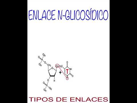 DNA.CONÓCELO BIEN