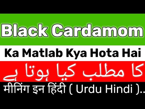 Black Cardamom Meaning | Black Cardamom Meaning In Urdu Hindi | Black Cardamom Ka Matlab Kya Hai