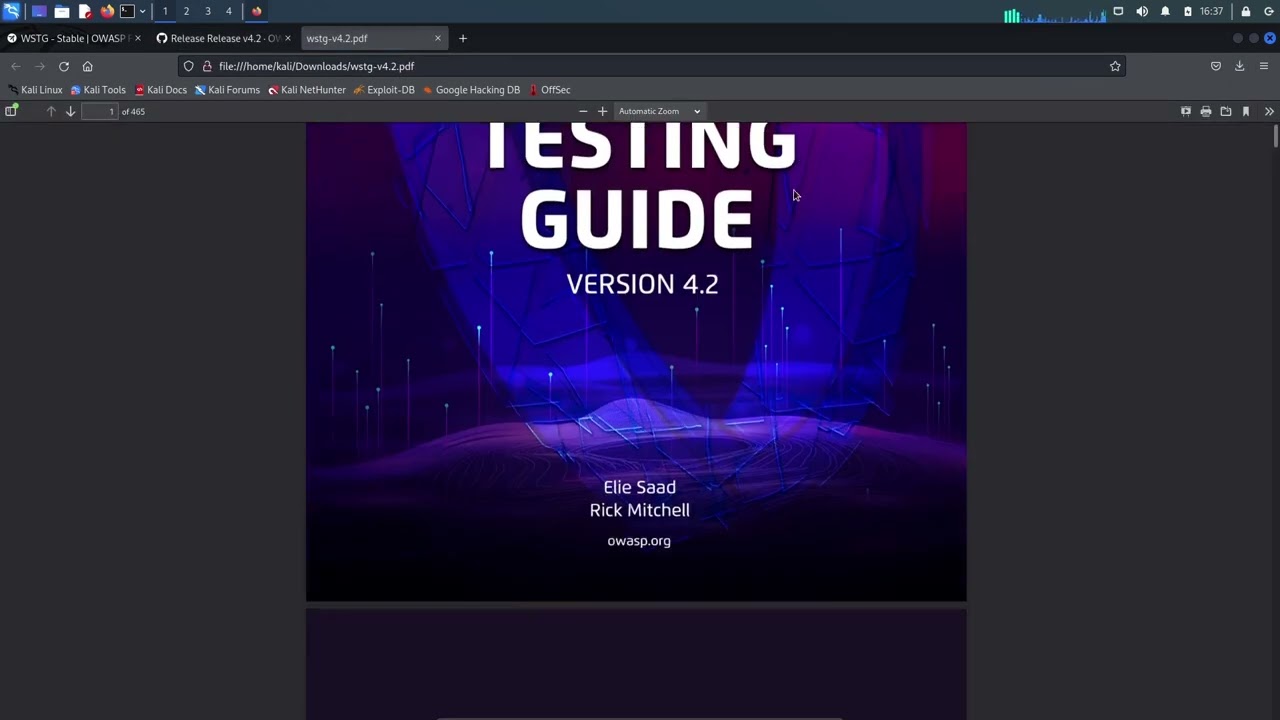 3  OWASP Web Security Testing Guide