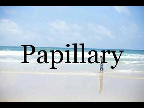 How To Pronounce Papillary๐๐๐๐๐๐Pronunciation Of Papillary