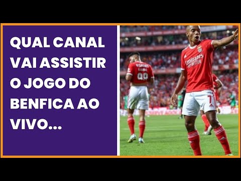 QUAL CANAL VAI ASSISTIR O JOGO DO BENFICA AO VIVO HOJE? ONDE ASSISTIR O JOGO DO BENFICA...