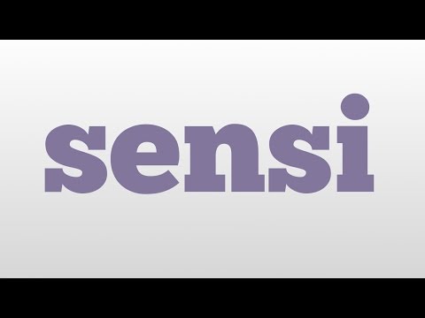 sensi meaning and pronunciation