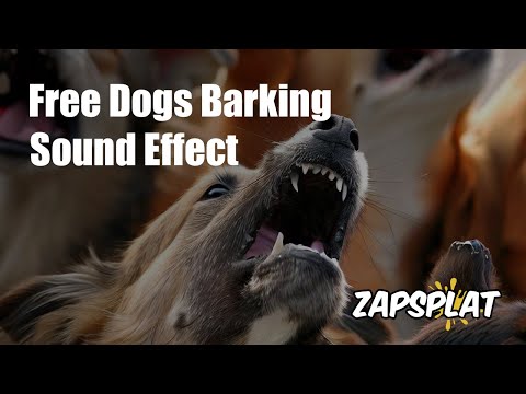 Free Dogs Barking Sound Effect