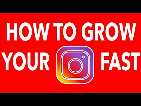 HOW TO GROW YOUR INSTAGRAM FOLLOWING FASTER THAN JAKE PAUL!!