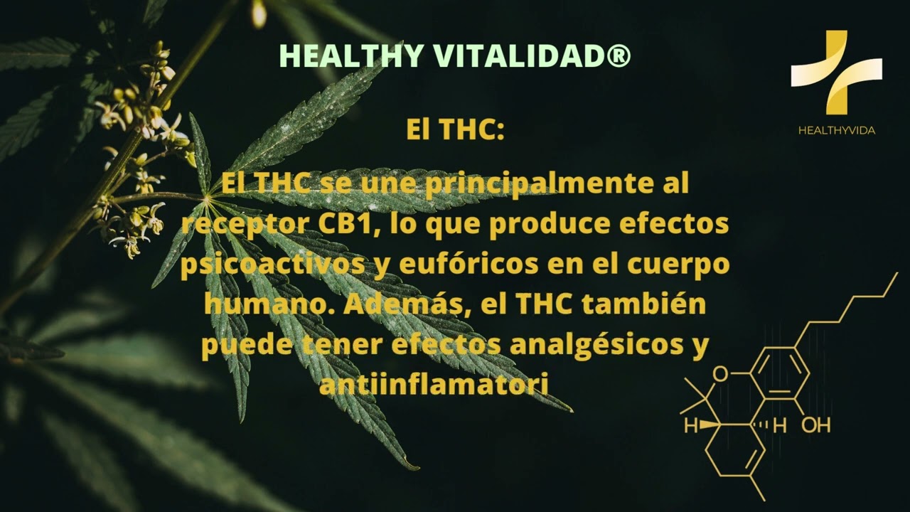 Los Fitocannabinoides