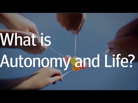 What is Autonomy and Life by Arnold Siegel?