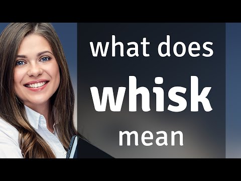 Whisk — what is WHISK definition