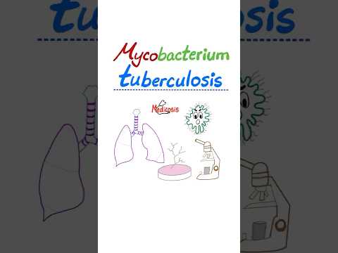 Mycobacterium tuberculosis - Tuberculosis (TB) - Microbiology…#nurse #doctor #biology #mbbs #study