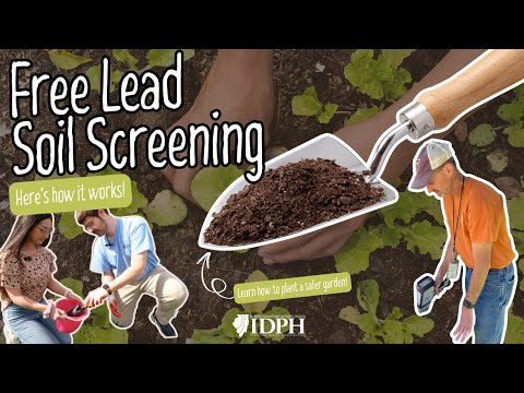 Collect a Soil Sample for Lead Testing | IDPH soilSHOP