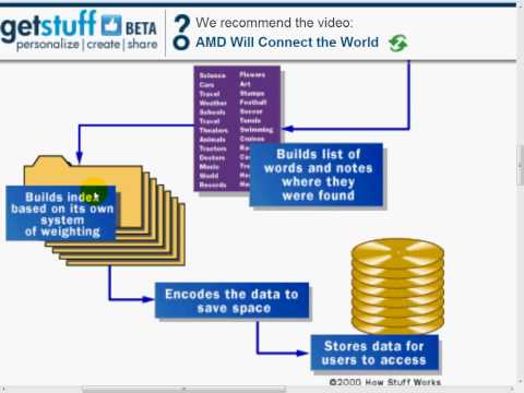 What is a Search Engine