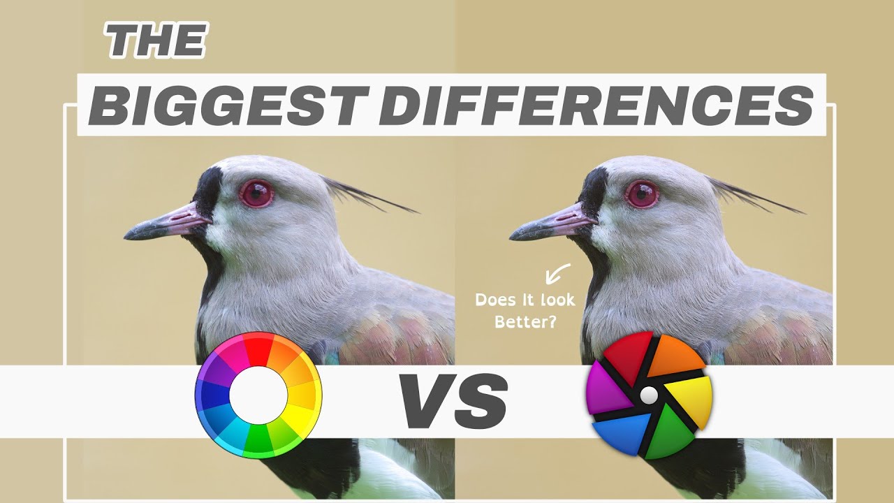 Darktable vs Rawtherapee: 5 Differences You Need To Know