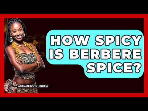 How Spicy Is Berbere Spice? - African Roots And Routes