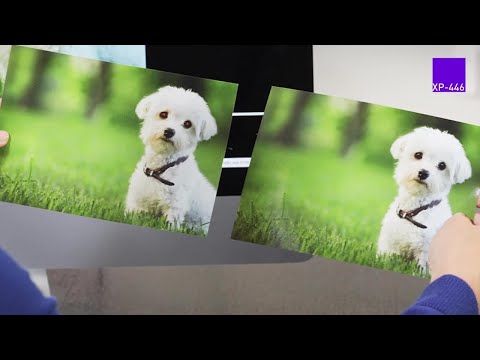 Epson Expression XP-446 | Take the Tour of the Small-in-One Printer