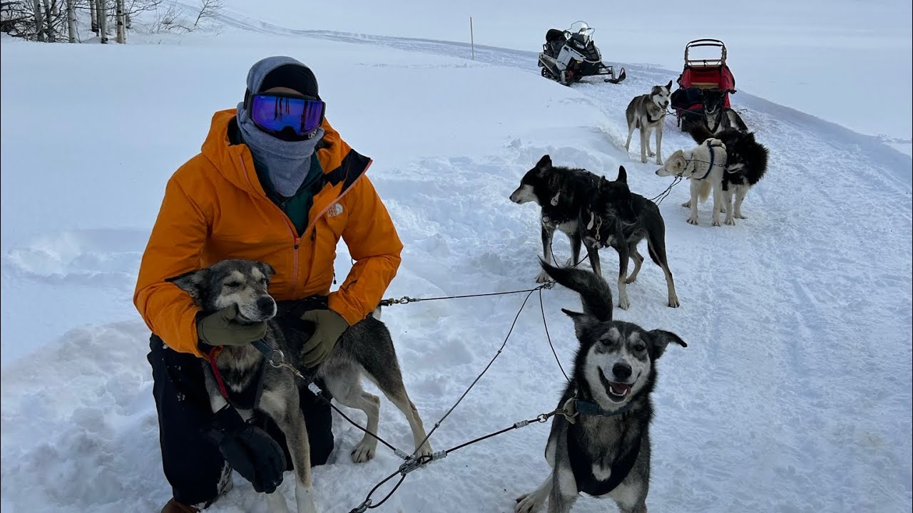 Dog Sledding Park City