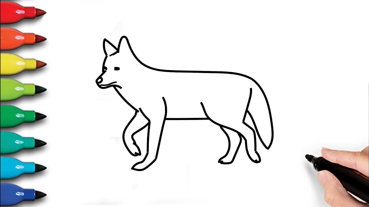 How to Draw a Coyote Step by Step