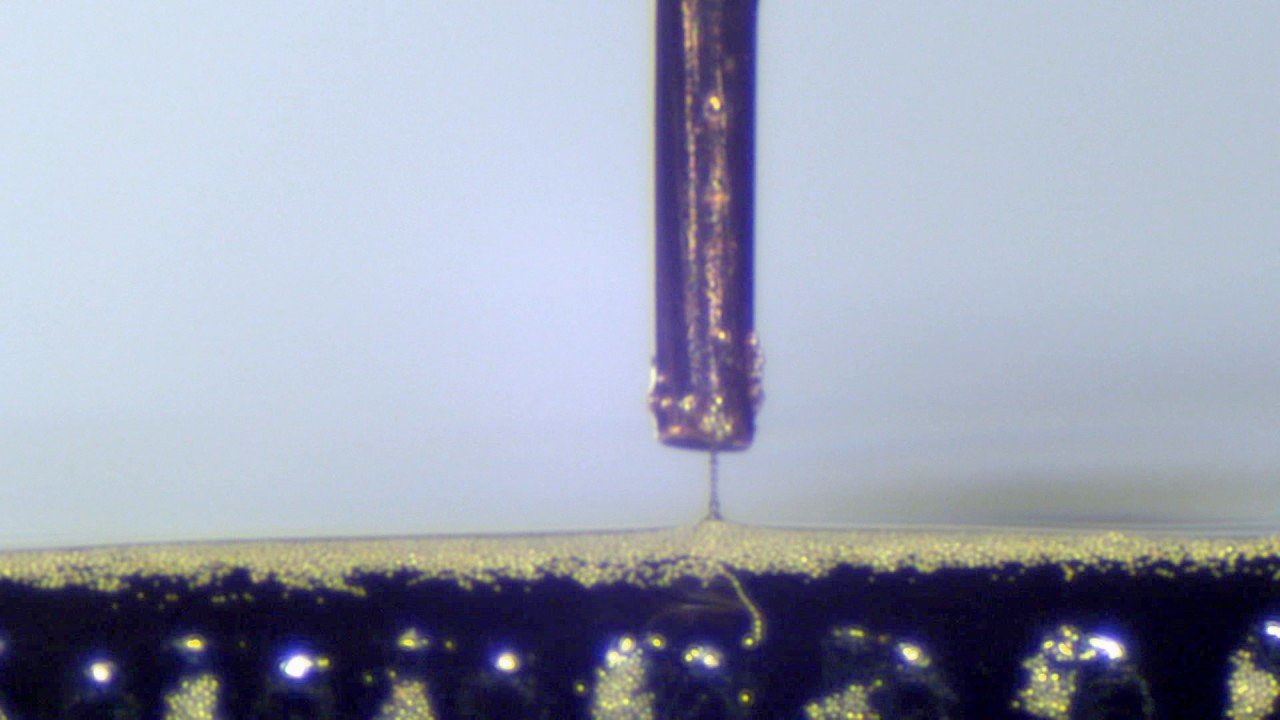 Colloidal chains 2 / Łańcuchy koloidalne 2 (IChF PAN)