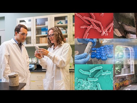 Hard-core bacteria