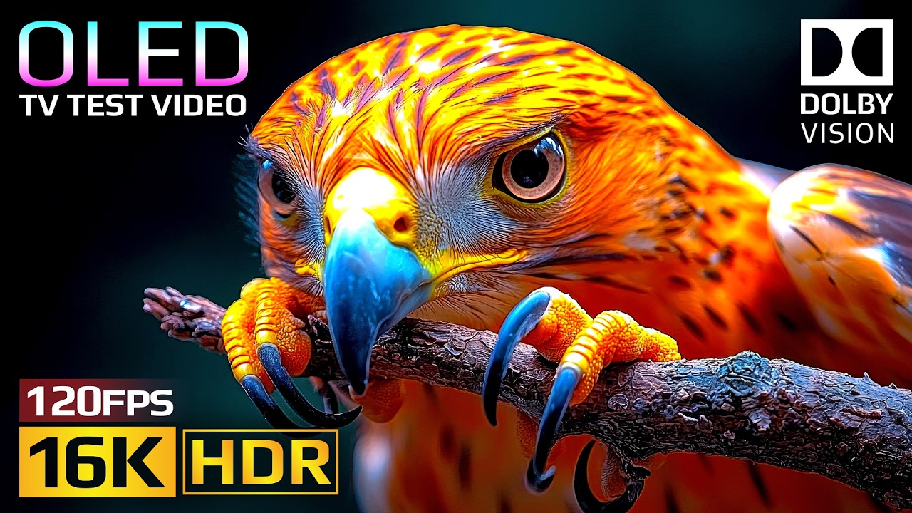 Premium+ 16K HDR Dolby Vision | OLED Nature Test 120fps (4K/8K Video TV)