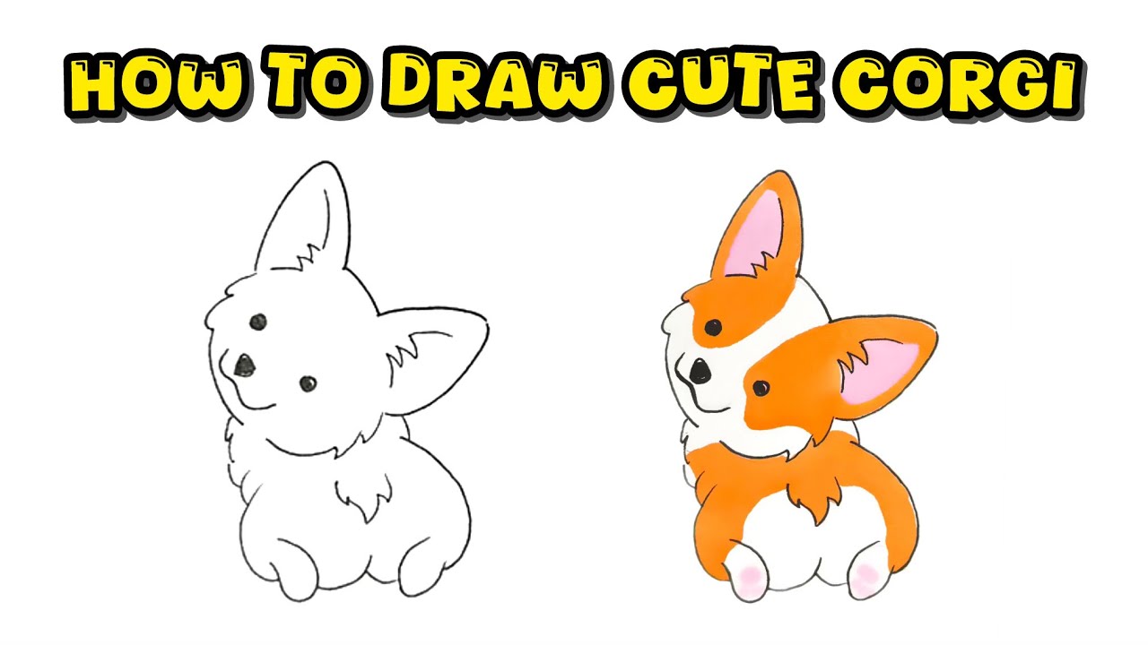 How to Draw a Cute Corgi Easily – Adorable Dog Breed Drawing Lesson