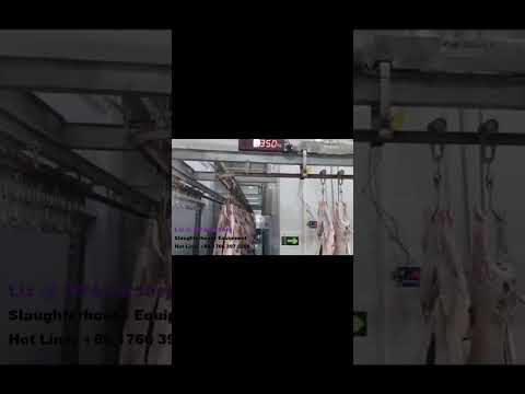 How to weigh the carcass on the rail? #Rail scale #meat processing plant# halal slaughter equipment