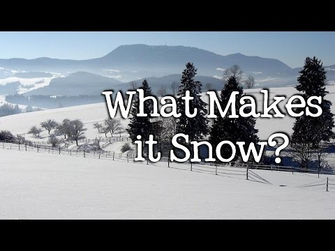 What Makes it Snow? Winter Precipitation for Kids - FreeSchool