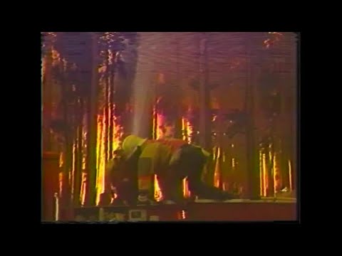 Fires of 1988: 10 Years After (1998 Special Presentation)