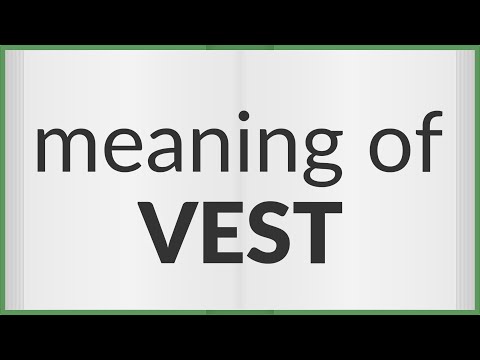 Vest | meaning of Vest