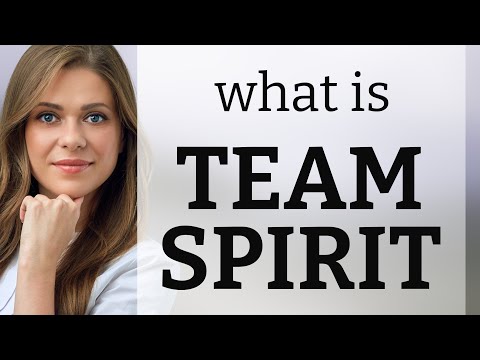 Team spirit — TEAM SPIRIT definition