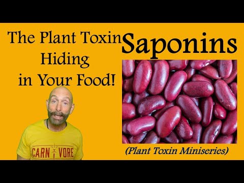 Saponins: The Plant Toxin Hiding In Your Food! #saponins #planttoxin