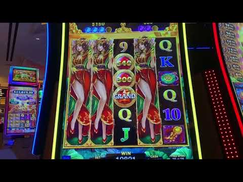 Butterfly Rise and Lantern Free Game Progressive Slot!