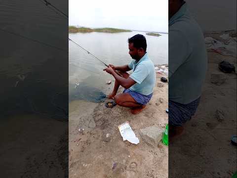 Catching Tasty Fishes with Secret Fish Food #fishing #fishingvideos #thoondilulagam #lakefishing