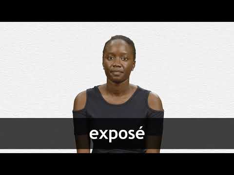 English Translation of “EXPOSÉ” | Collins French-English Dictionary