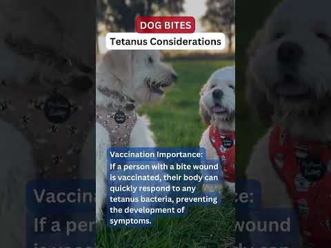 Tetanus and Dog Bites: What You Need to Know - Part2 #dog #dogs #dogbites