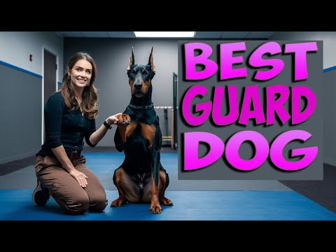 The ULTIMATE Guard Dog Breed - Doberman Pinscher Protection Training #Doberman